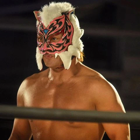 Super Shisa | Dragon System Wiki | Fandom