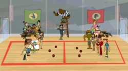 Dodgebrawl | Total Drama Island Cartoon Network Wiki | Fandom