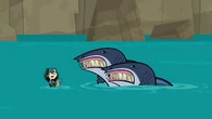 Shark | Total Drama Wiki | Fandom