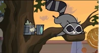 Raccoon | Total Drama Wiki | Fandom
