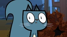 Squirrel | Total Drama Wiki | Fandom