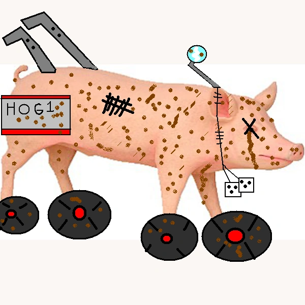 Pig | Total Drama Island Fanfiction wikia | Fandom