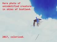 Chicken Man Man | Totally Accurate Battle Simulator Wiki | Fandom