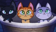 Totally Pawsome | Totally Spies Wiki | Fandom