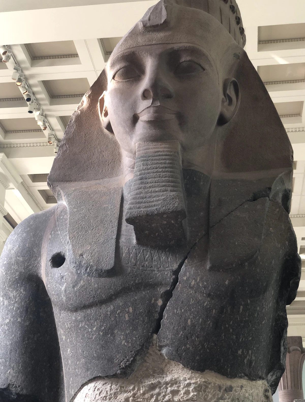Ramesses II | Historica Wiki | Fandom