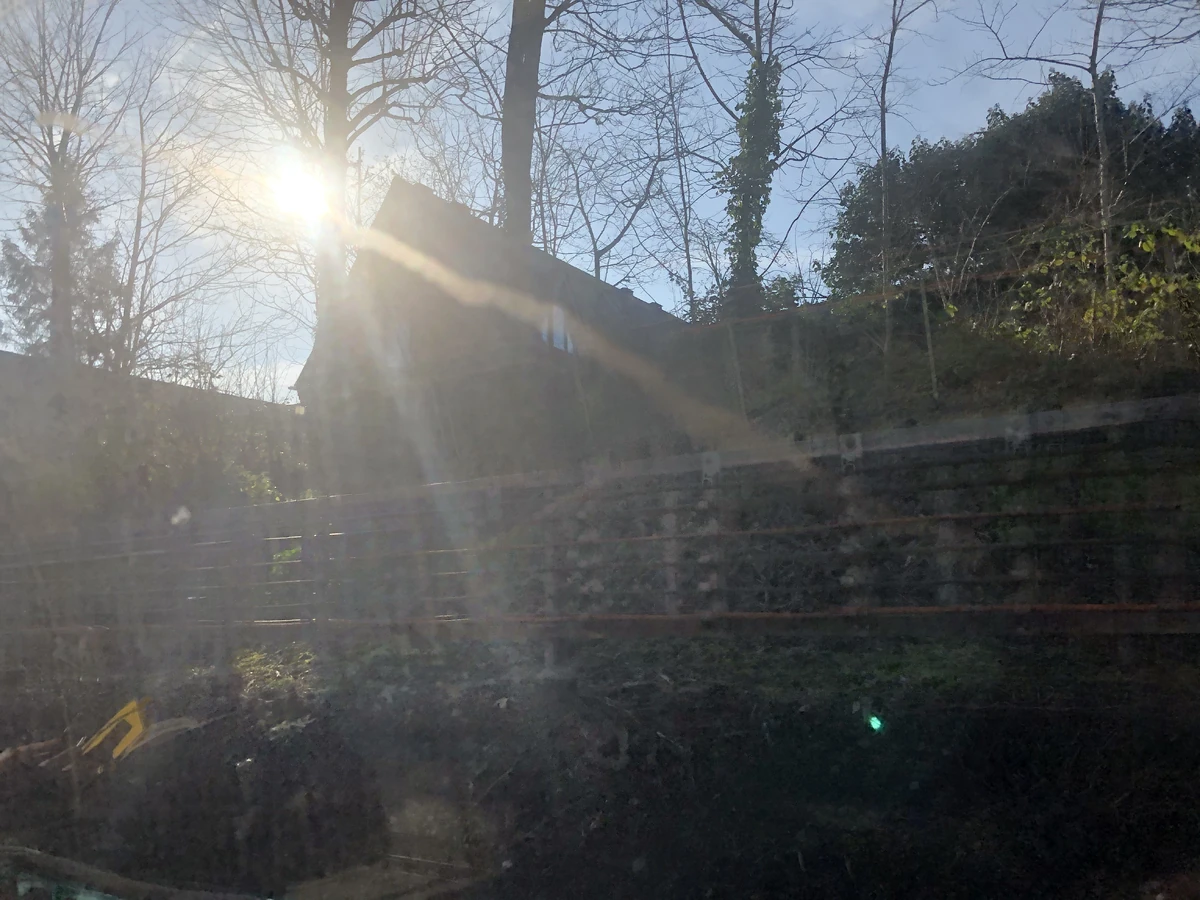 Fortis Green | Historica Wiki | Fandom