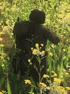 Linzell Waters | Historica Wiki | Fandom