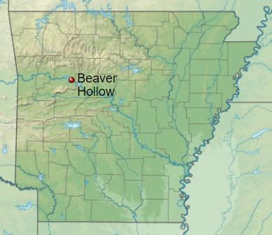 Beaver Hollow | Historica Wiki | Fandom