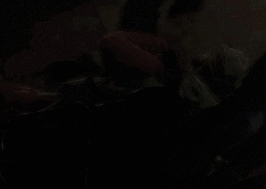 Oztas Dalman | Historica Wiki | Fandom