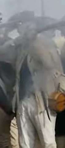 Thomas Wentz | Historica Wiki | Fandom