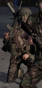 Terry S. Ankrom | Historica Wiki | Fandom