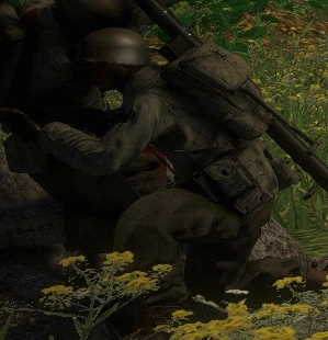 Quandell Warren | Historica Wiki | Fandom