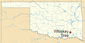 Whiskey Tree | Historica Wiki | Fandom