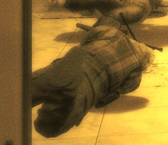 Ubaida Bahawalanzai | Historica Wiki | Fandom