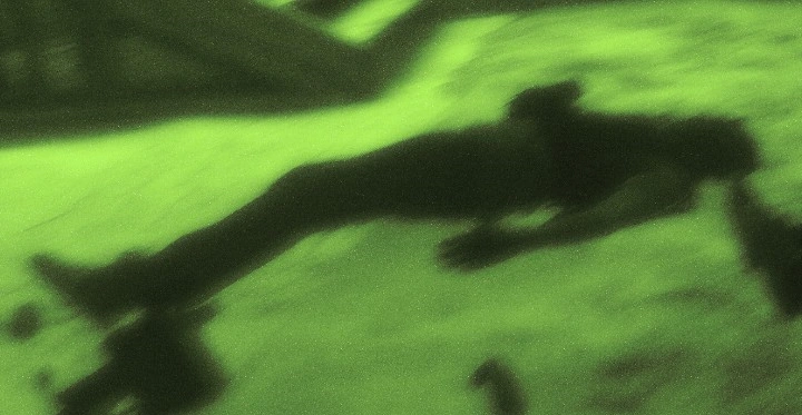 Fateen al-Madani | Historica Wiki | Fandom