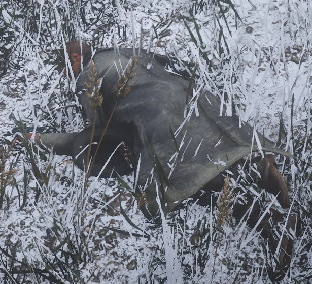 Cormac Dowey | Historica Wiki | Fandom