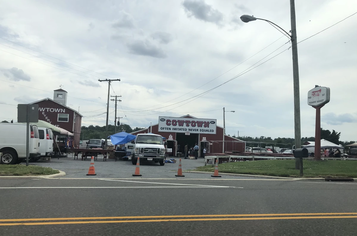 Cowtown Rodeo | Historica Wiki | Fandom