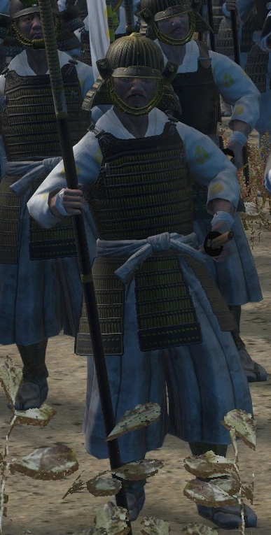 Honma Tanetoki | Historica Wiki | Fandom