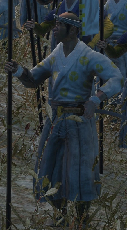 Nijo Tokitame | Historica Wiki | Fandom