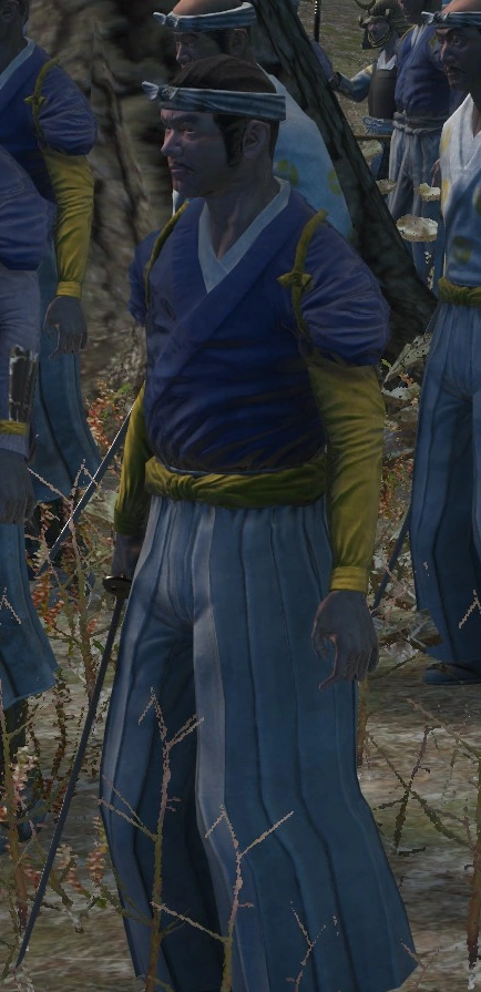 Hayashi Hikoshige | Historica Wiki | Fandom