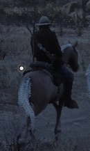 Wiley X. Paradis | Historica Wiki | Fandom