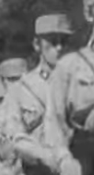 Julian Mannheim Historica Wiki Fandom