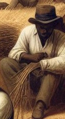 Badara Jawara | Historica Wiki | Fandom