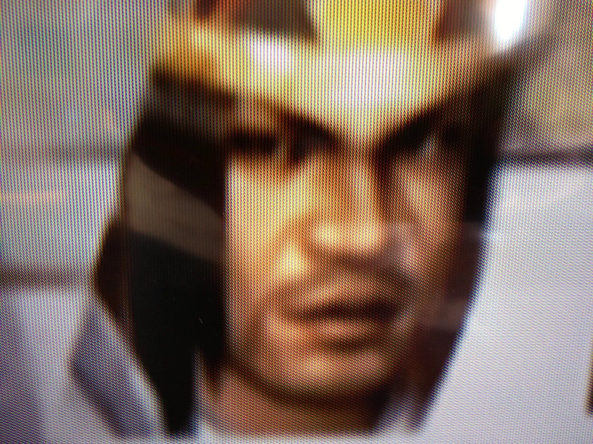 Ieyoshi Haigo | Historica Wiki | Fandom