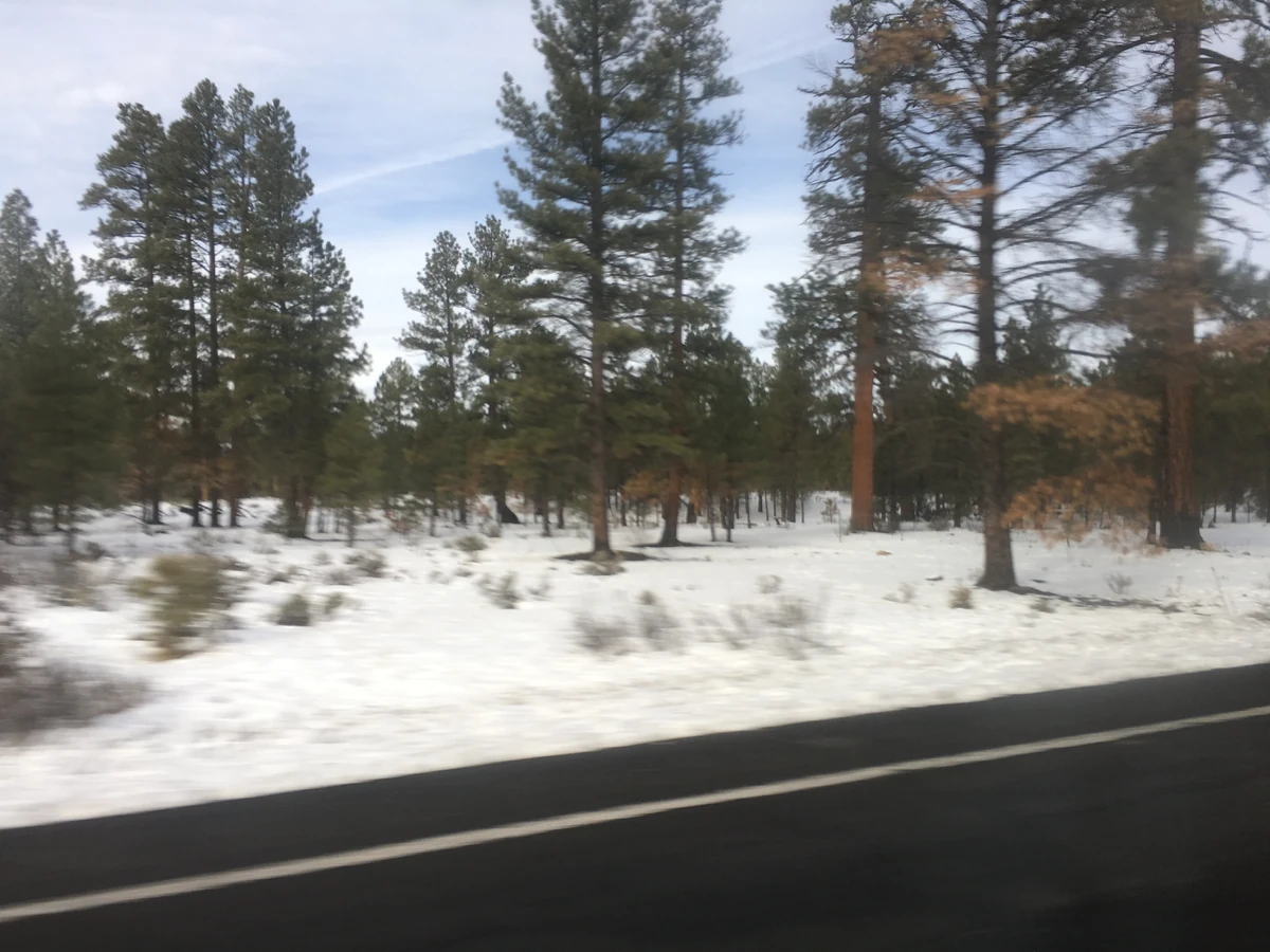 Apex, Arizona | Historica Wiki | Fandom