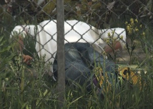 Tavell Hill | Historica Wiki | Fandom