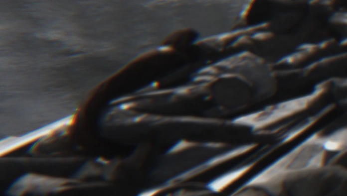 Salem A. Hamly | Historica Wiki | Fandom