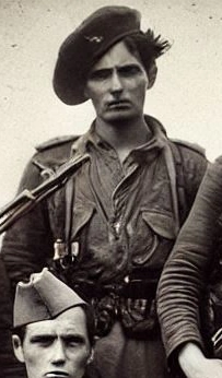 Borivoje Stevanović | Historica Wiki | Fandom