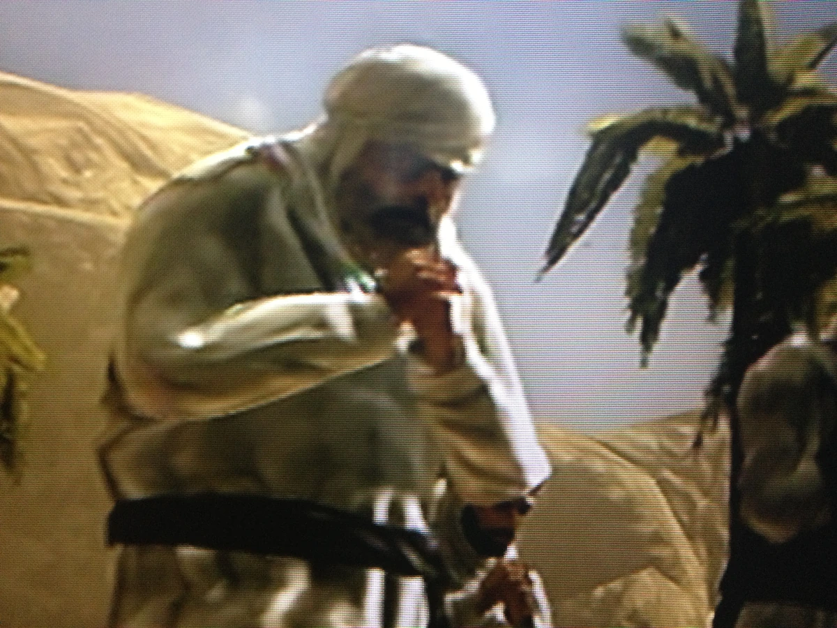 Daif Ashraf | Historica Wiki | Fandom