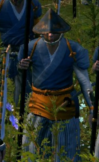 Hoshina Nagatoshi | Historica Wiki | Fandom