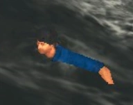 Rinus van der Velde | Historica Wiki | Fandom