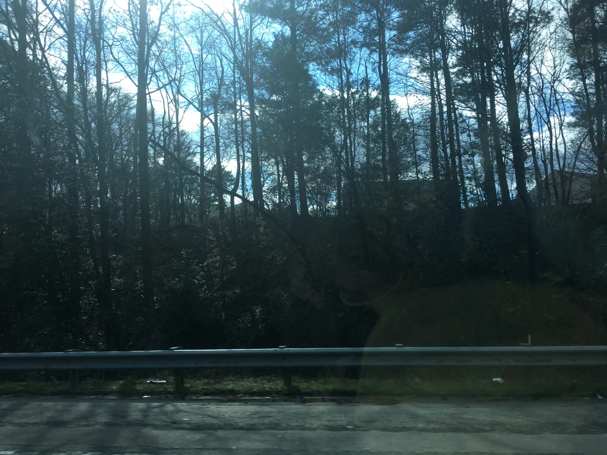 Brookland, Virginia | Historica Wiki | Fandom