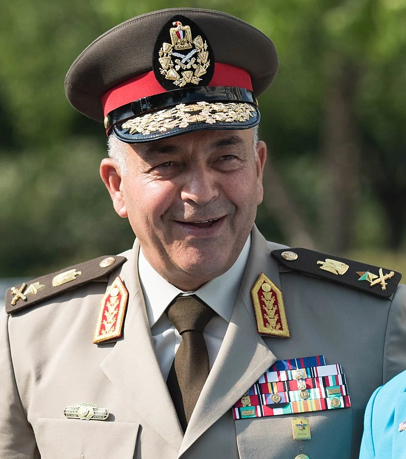 Mahmoud Hegazy | Historica Wiki | Fandom