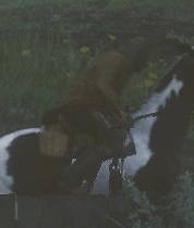 Avren C. Peck | Historica Wiki | Fandom