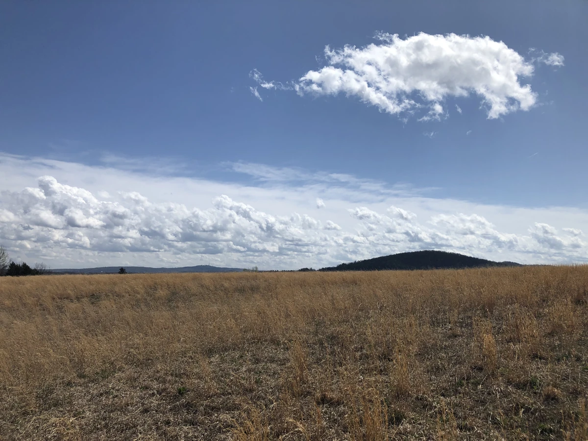 Cedar Mountain, Virginia | Historica Wiki | Fandom