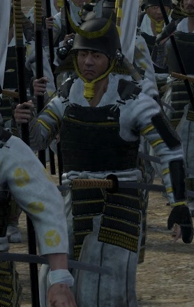 Hiraga Tsunefusa | Historica Wiki | Fandom