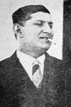 Dragomir Jovanovic | Historica Wiki | Fandom