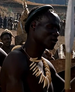 Songezo Nokwe | Historica Wiki | Fandom