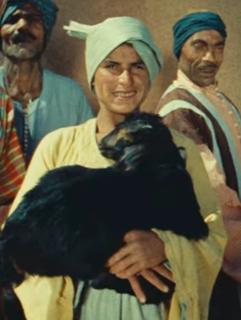 Mutasim al-Abdi | Historica Wiki | Fandom