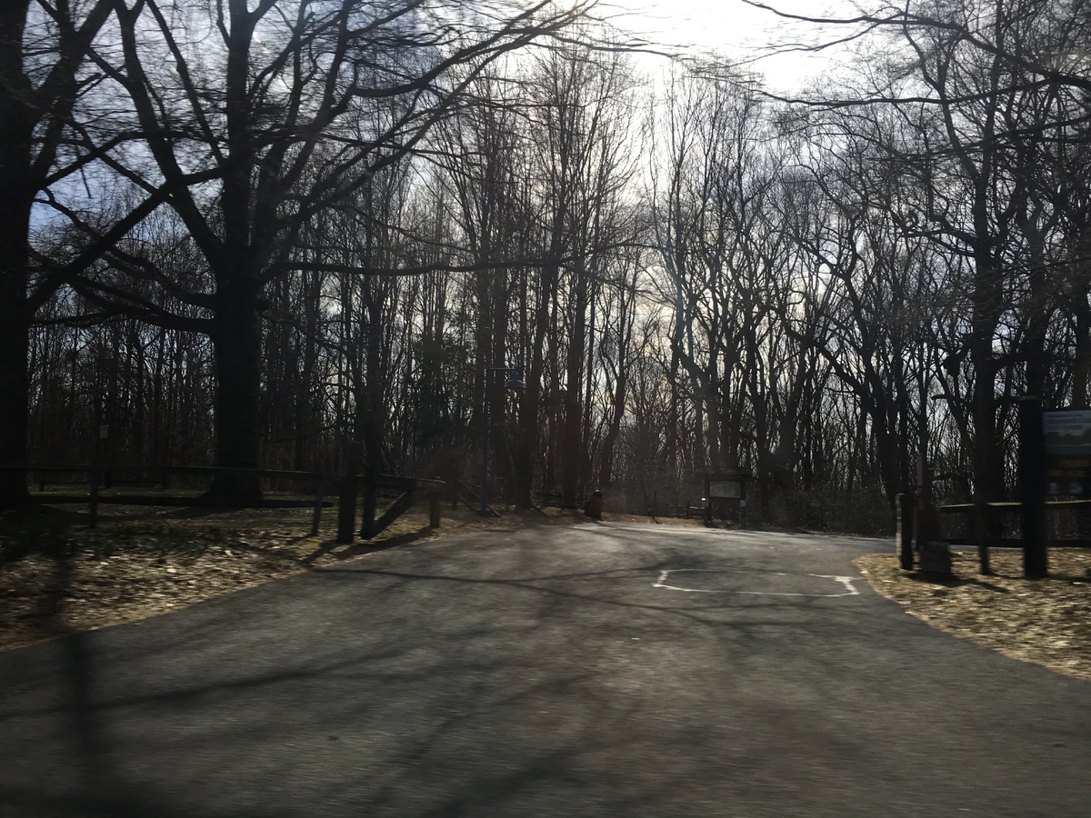 Tatum Park | Historica Wiki | Fandom