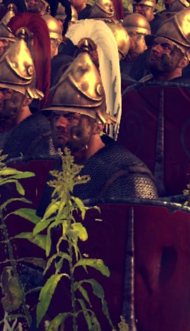 Tertius Herennius Quentin | Historica Wiki | Fandom