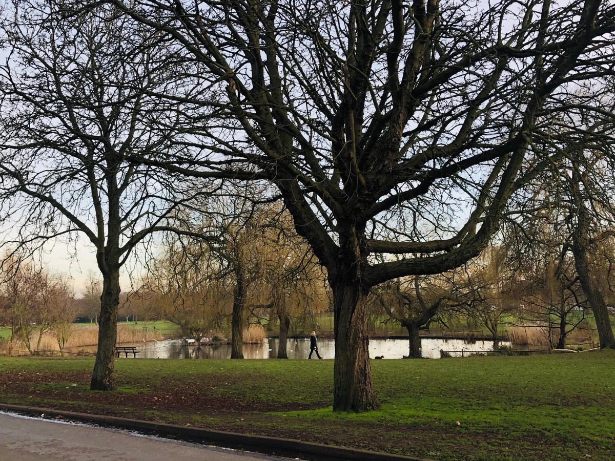 Ham Common | Historica Wiki | Fandom