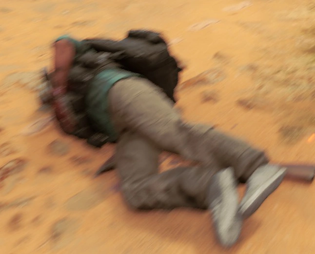 Nfansu Janneh | Historica Wiki | Fandom