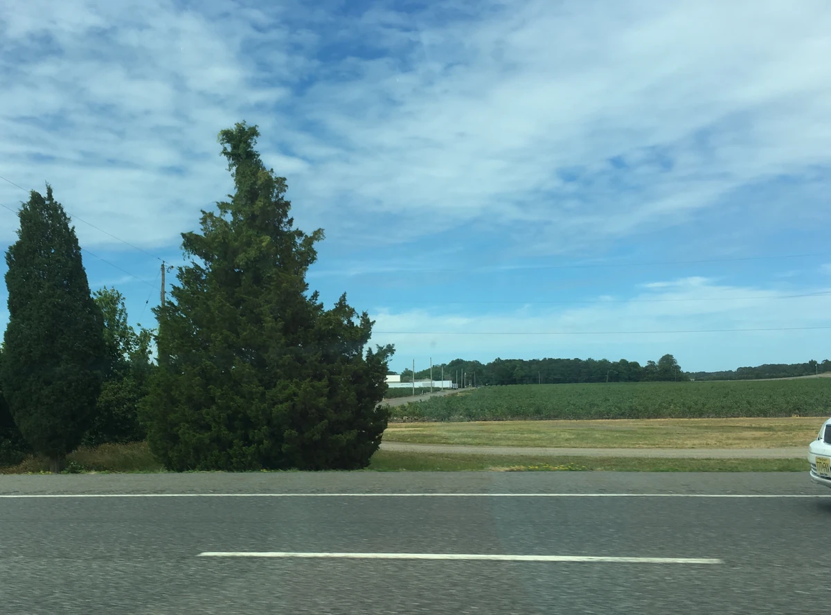 Folsom, New Jersey | Historica Wiki | Fandom