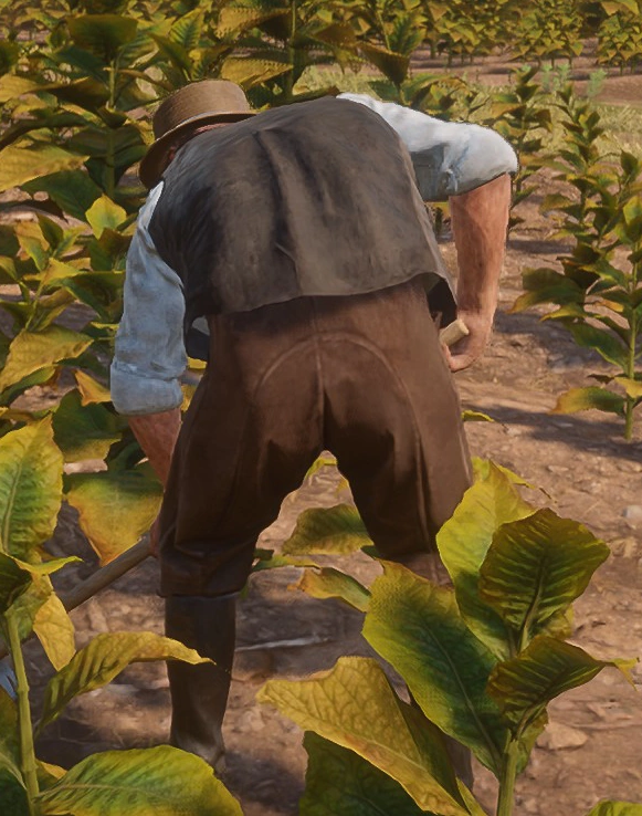 Sammie N. Widell | Historica Wiki | Fandom