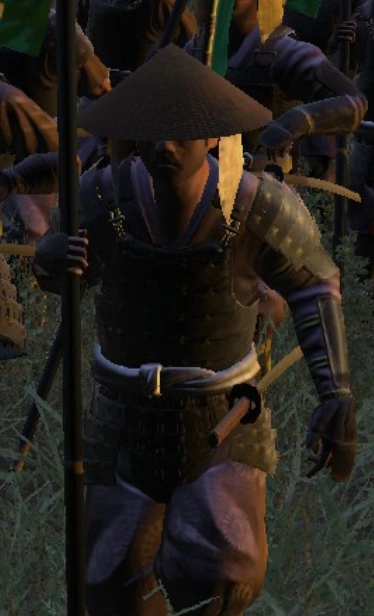 Usami Tokimitsu | Historica Wiki | Fandom